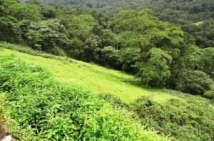 MOLLEM NATIONAL PARK - ItsGoa