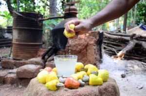 Feni listed among world’s top 10 liqueurs