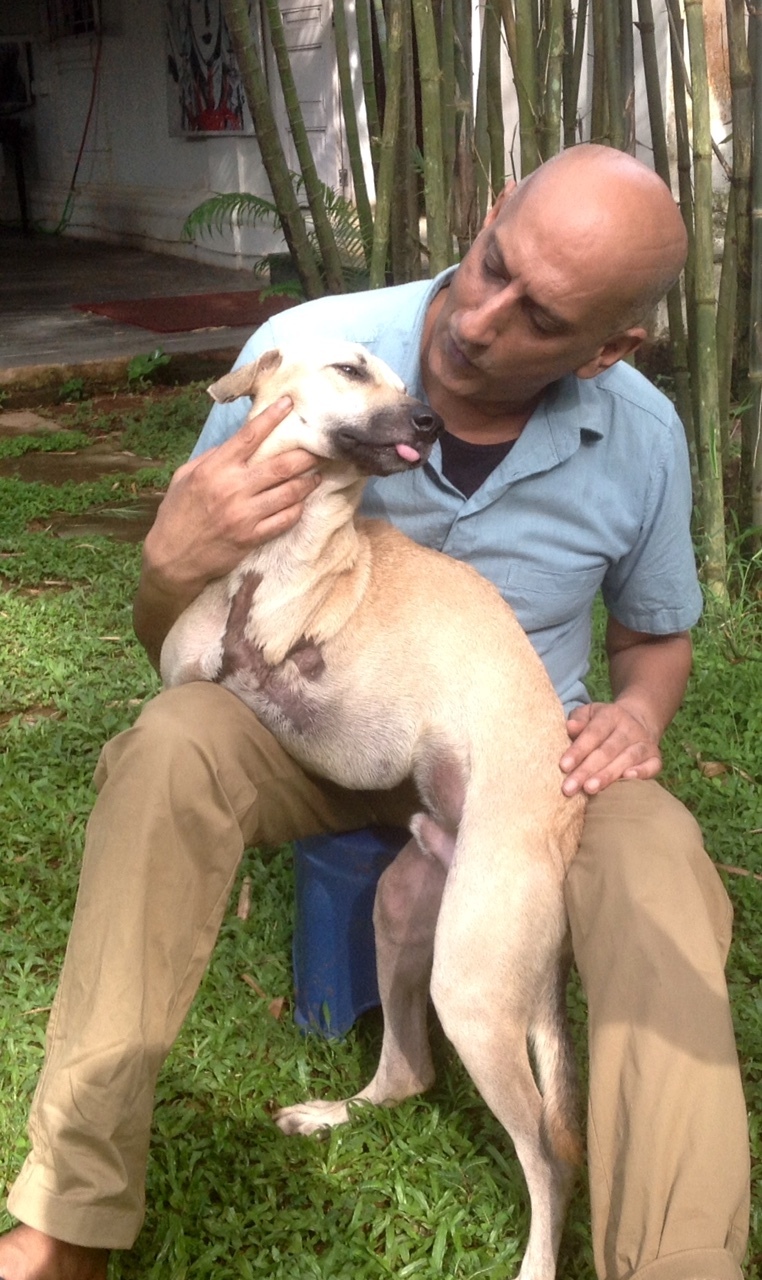 Welfare for Animals in Goa: Atul Sarin's Journey - ItsGoa