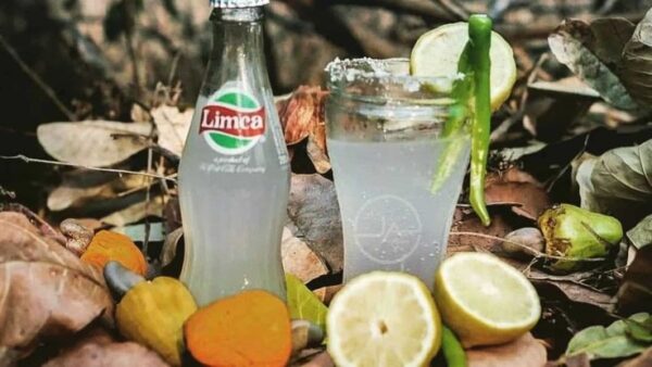 Urrak Odyssey: Journeying through Goa's Distillation Tradition