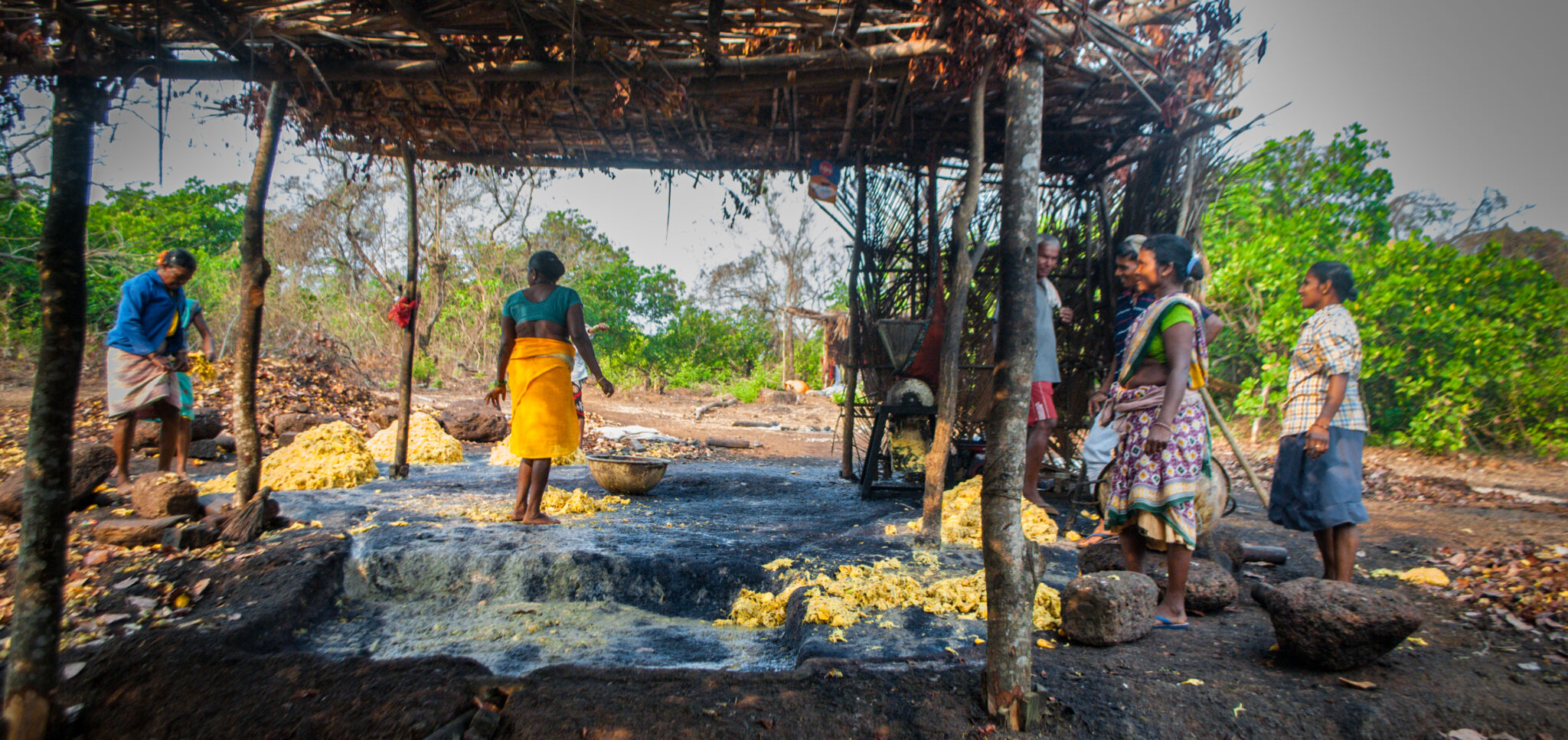 Urrak Odyssey: Journeying through Goa's Distillation Tradition