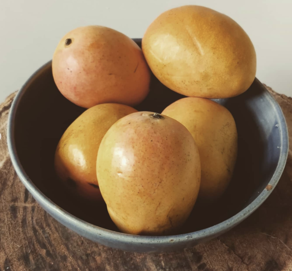 Mangoes in Goa: A Taste of Tropical Paradise