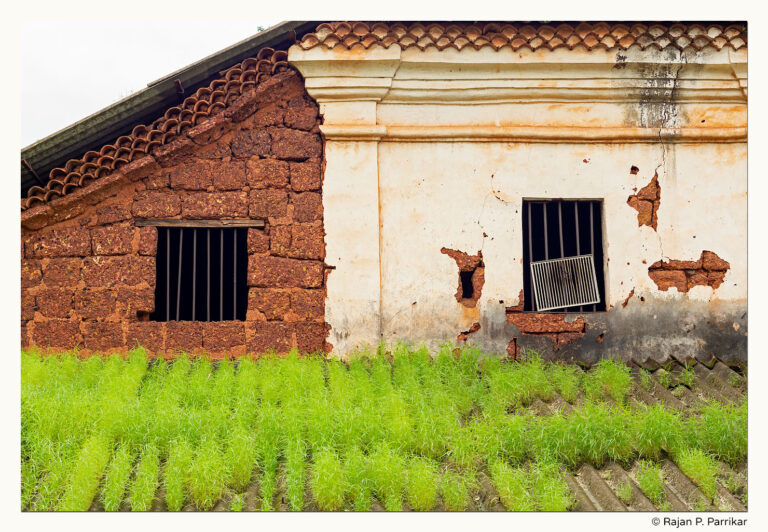 Discover Why Goan Homes Use Laterite Stone